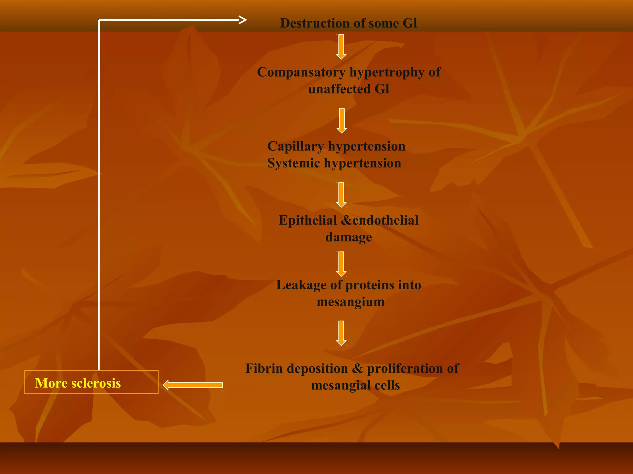 Renal pathology (dr magdy ismail) copy | PPT