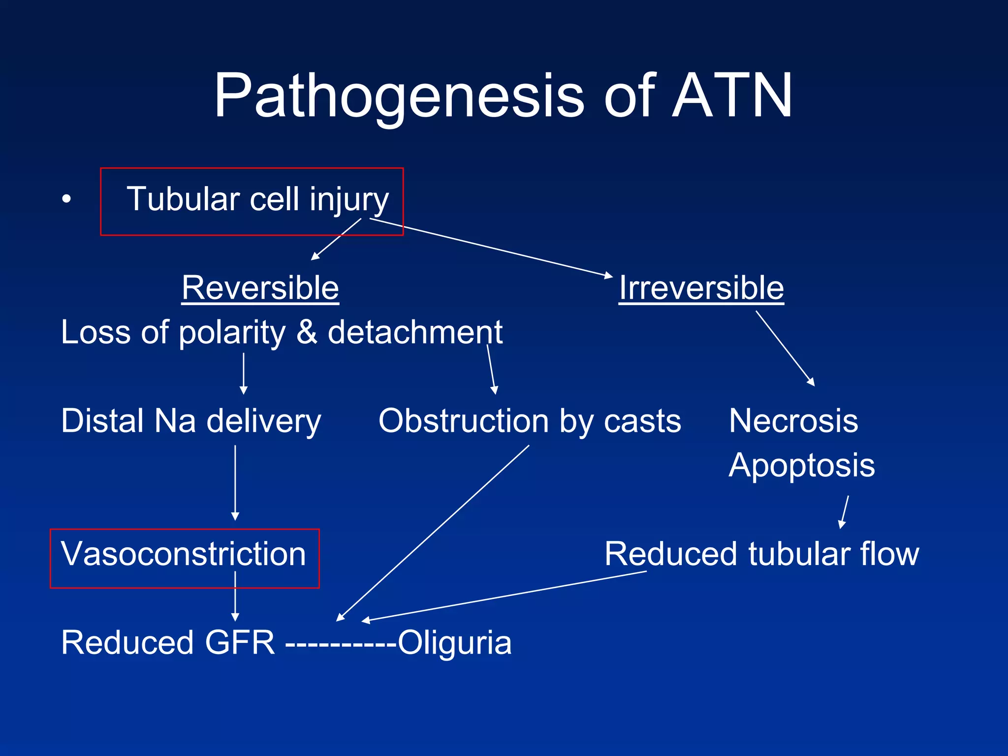 Renal pathology iii | PPT