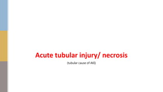 Renal pathology. Lecture 1 acute kidney injury, sufia husain 2020 | PPTX