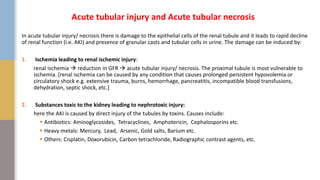Renal pathology. Lecture 1 acute kidney injury, sufia husain 2020 | PPTX