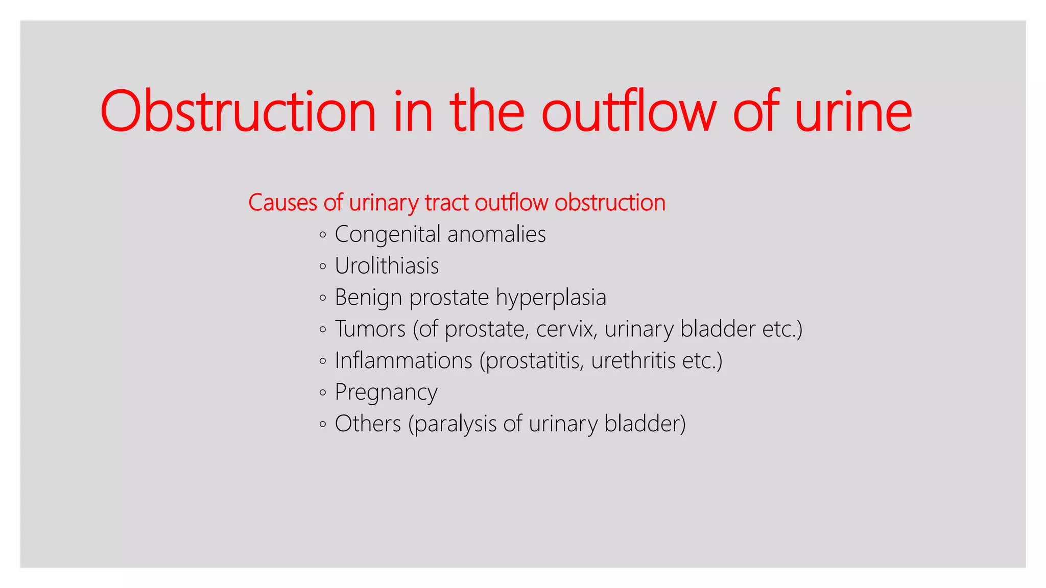 Renal pathology lecture 2&3. Infection of upper and lower urinary tract ...