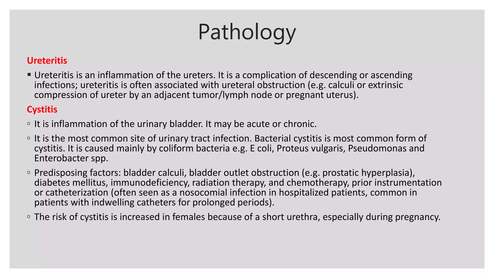 Renal pathology lecture 2&3. Infection of upper and lower urinary tract ...