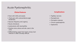 Renal pathology lecture 2&3. Infection of upper and lower urinary tract ...