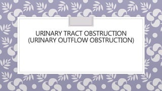 Renal pathology lecture 2&3. Infection of upper and lower urinary tract ...