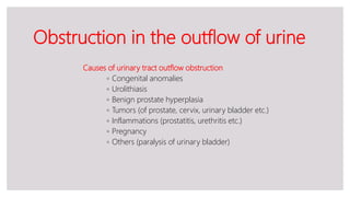 Renal pathology lecture 2&3. Infection of upper and lower urinary tract ...