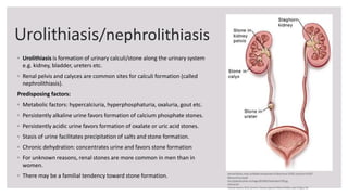 Renal pathology lecture 2&3. Infection of upper and lower urinary tract ...