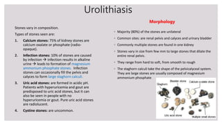 Renal pathology lecture 2&3. Infection of upper and lower urinary tract ...