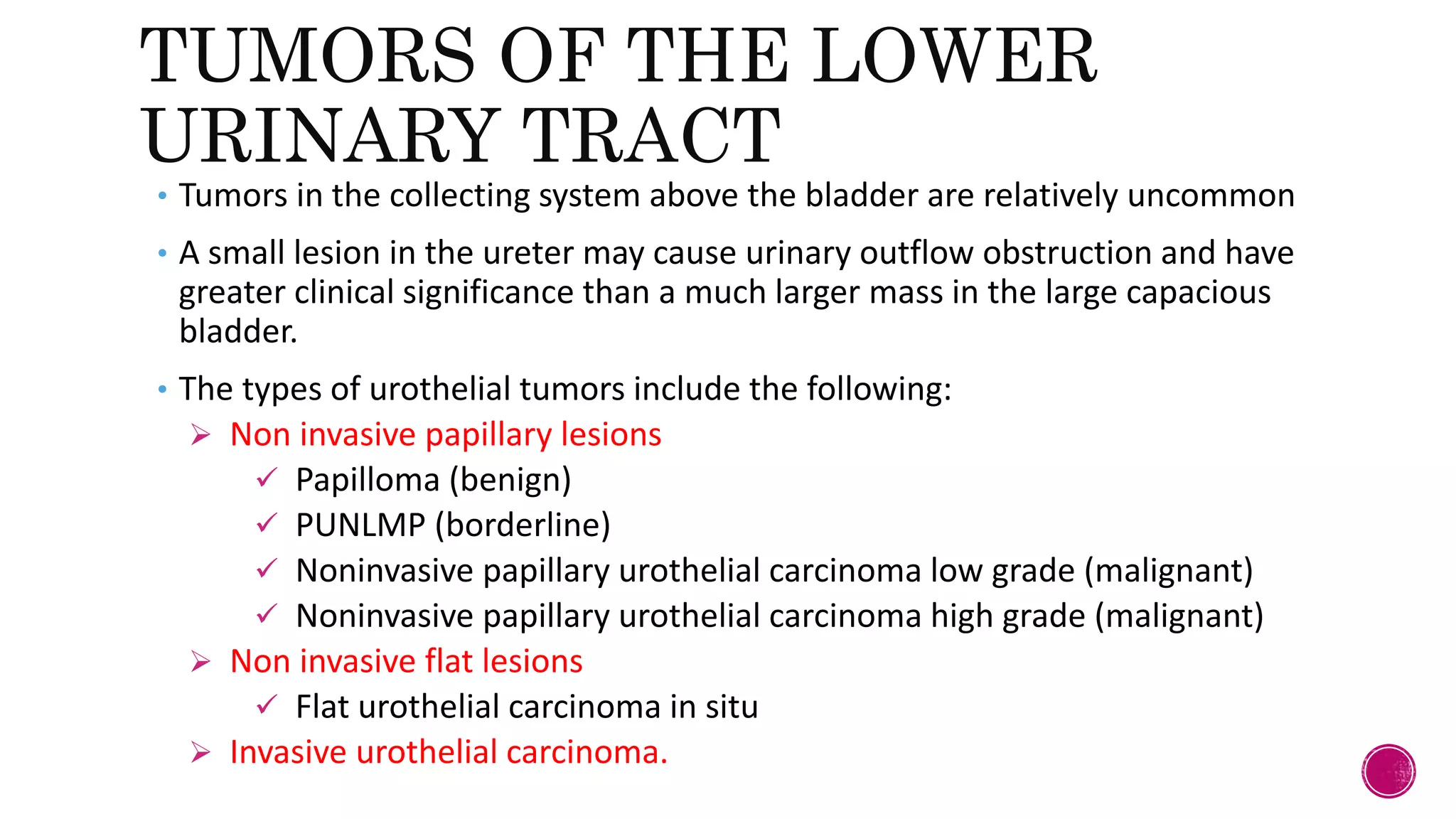 Renal pathology lecture 4 Tumors of kidney and urinary tract. Sufia ...