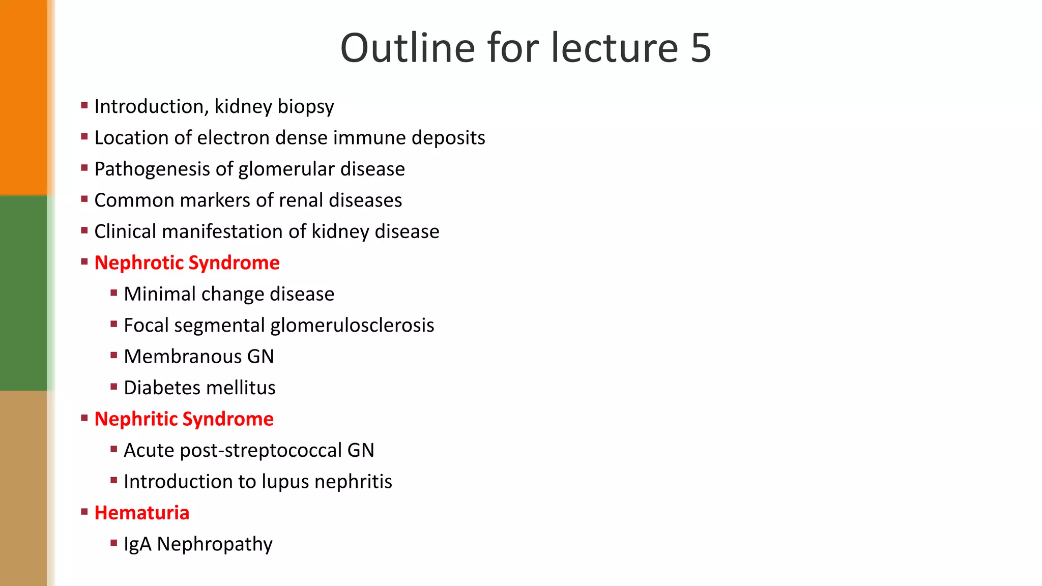 Renal pathology lecture5 Nephrotic & Nephritic syndrome. Sufia Husain 2020 | PPTX