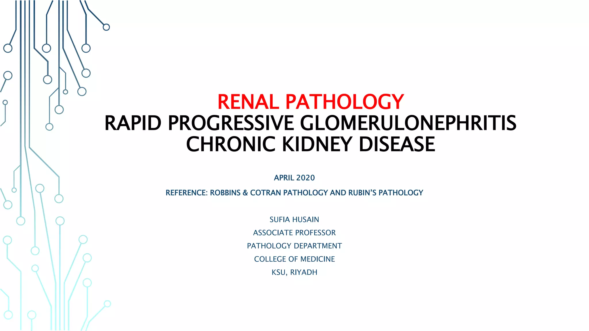 Renal pathology lecture 6 Rapid Progressive Glomerulonephritis ...
