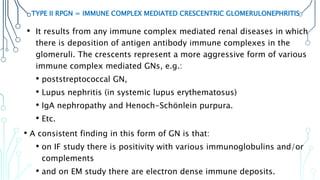 Renal pathology lecture 6 Rapid Progressive Glomerulonephritis ...