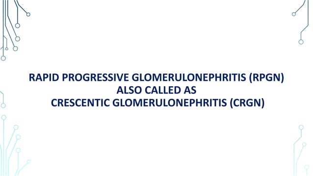 Renal pathology lecture 6 Rapid Progressive Glomerulonephritis ...