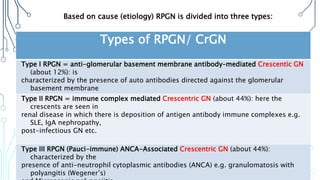 Renal pathology lecture 6 Rapid Progressive Glomerulonephritis ...