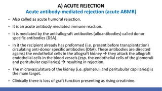 Renal pathology. Lecture 7 Introduction to Allograft Kidney Pathology ...