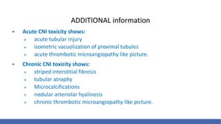 Renal pathology. Lecture 7 Introduction to Allograft Kidney Pathology ...