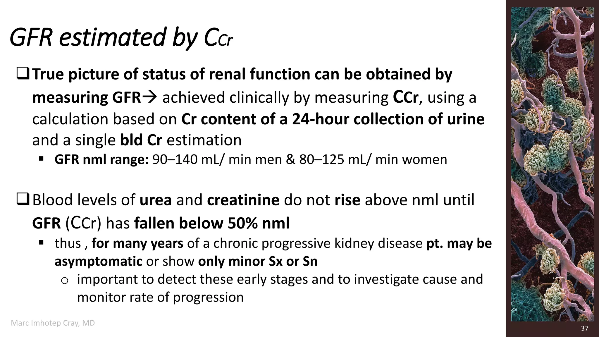 Renal Pathology Lectures_Ppt Series (4 in 1) | PDF
