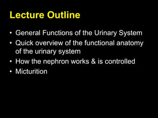 Renal Phsyiology.ppt