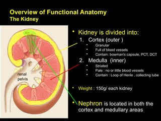 Renal_Phsyiology_2021_INTRODUCTION[1].pptx