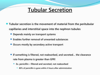 Renal phsyiology edited | PPT
