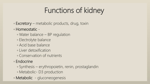 Renal physiological function | PPTX | Endocrine and Metabolic Diseases ...