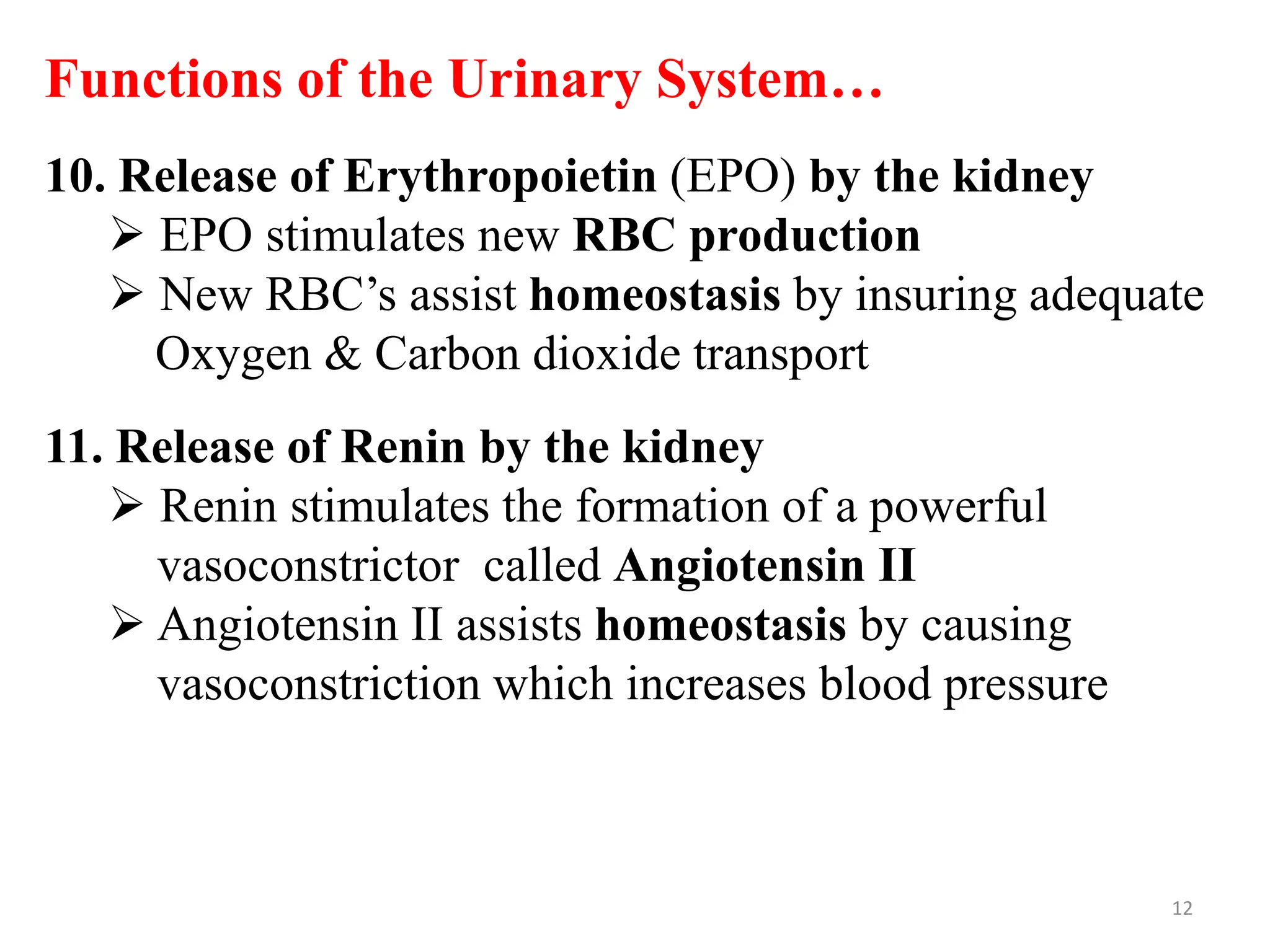RENAL PHYSIOLOGY-1.pdf