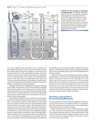 Renal physiology | PDF