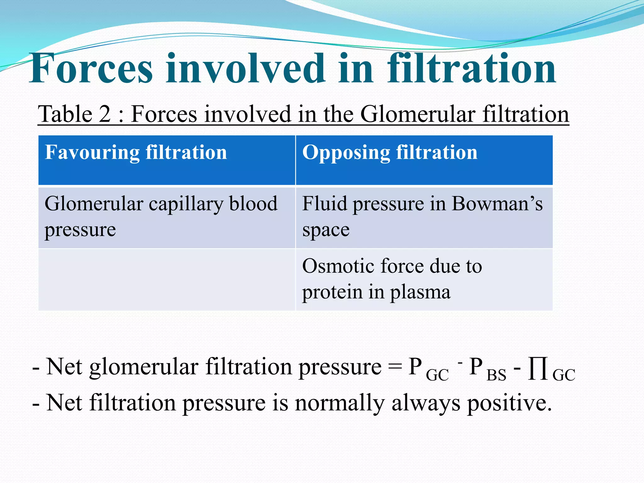 Renal Physiology | PPTX