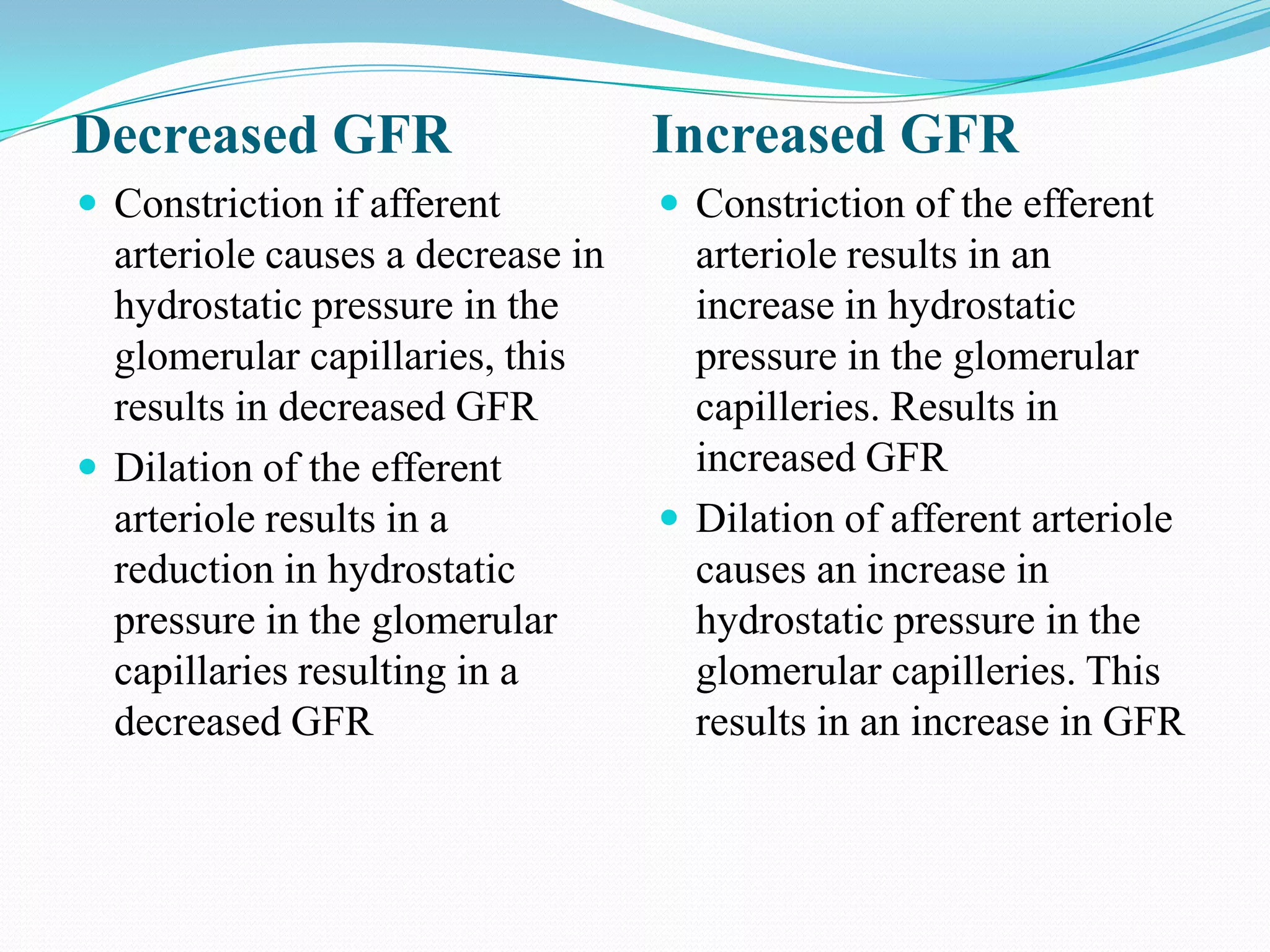 Renal Physiology | PPTX