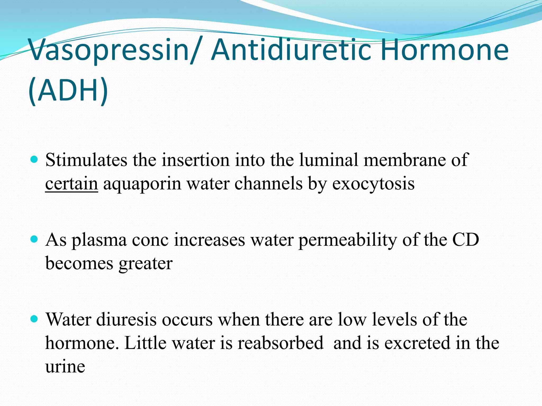 Renal Physiology | PPTX