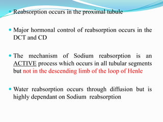 Renal Physiology | PPTX