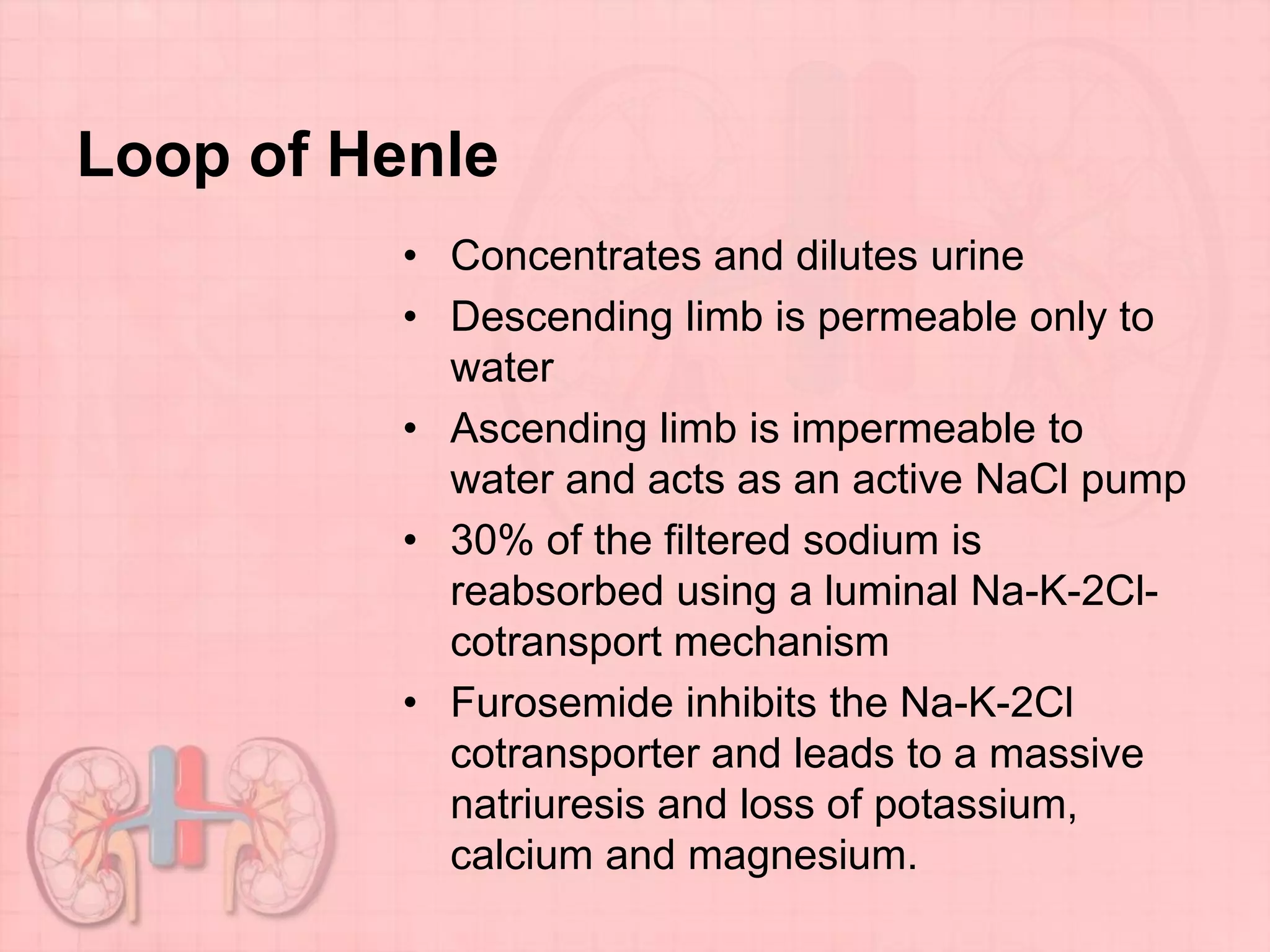 Renal physiology | PPTX