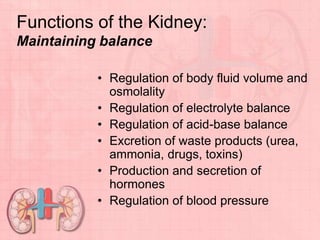 Renal physiology | PPT