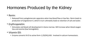Renal physiology in pregnancy | PPT