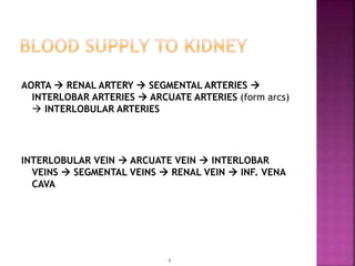 Renal physiology | PPTX