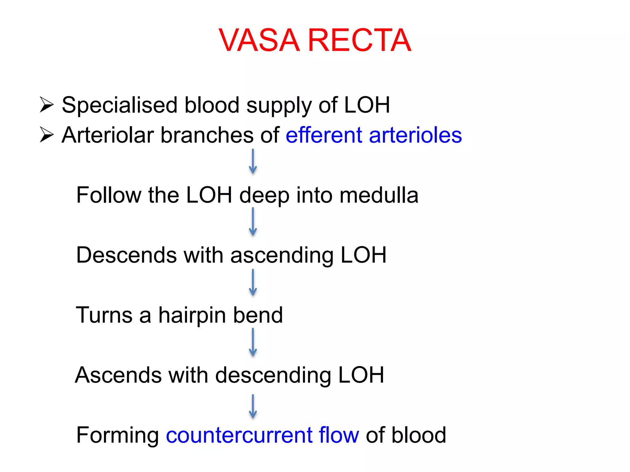 Renal physiology | PPTX