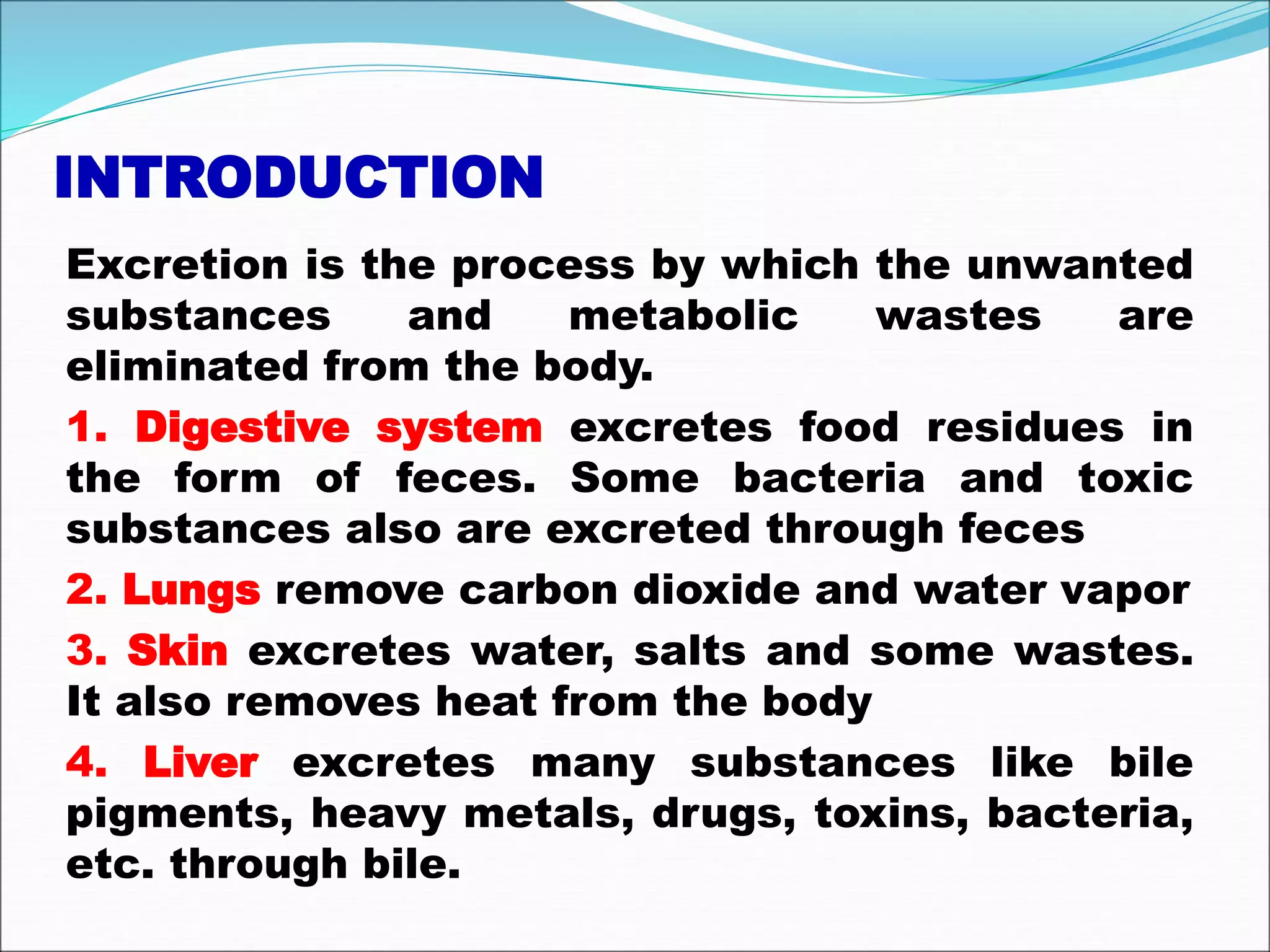 RENAL PHYSIOLOGY.ppt