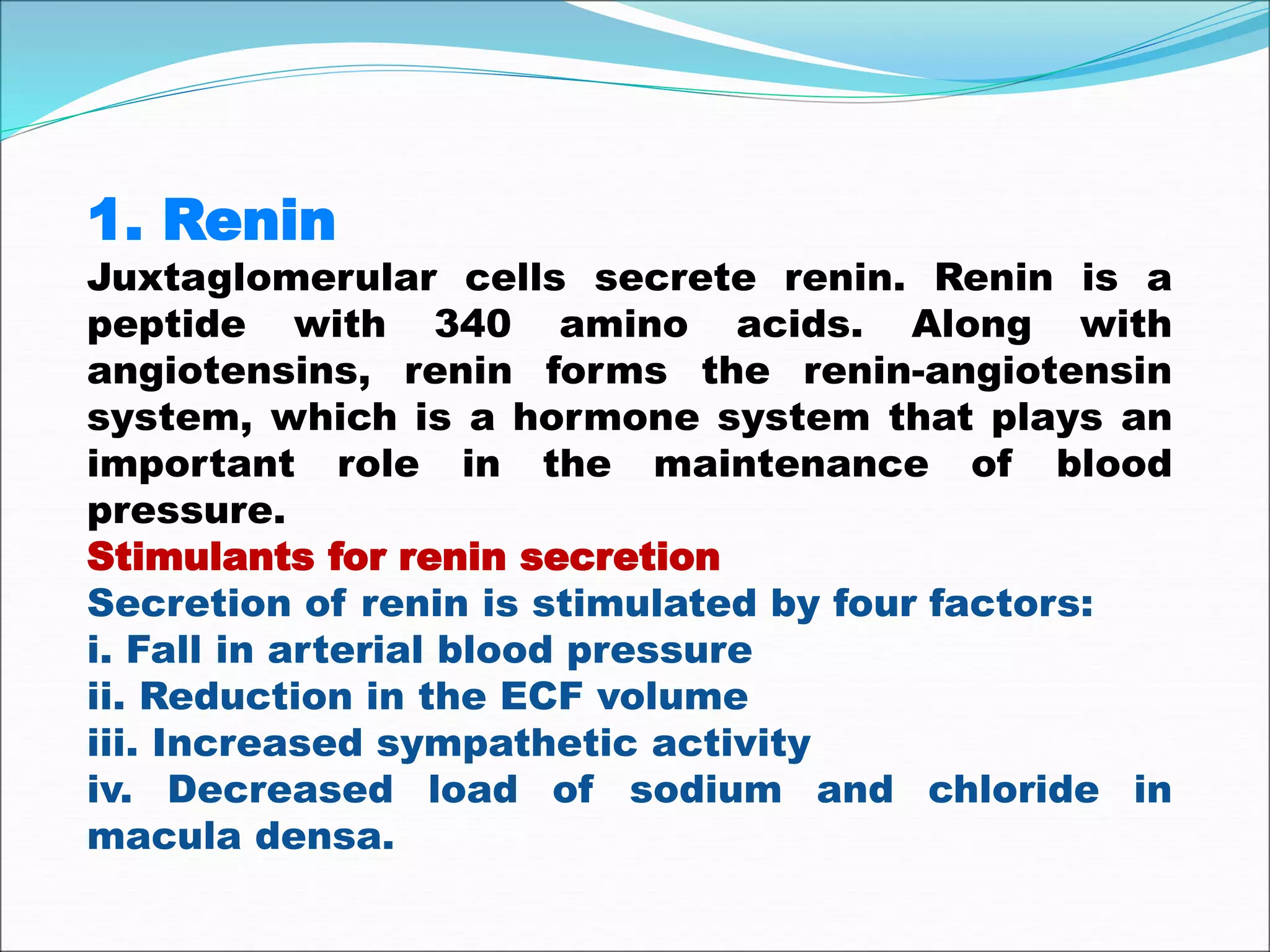 RENAL PHYSIOLOGY.ppt