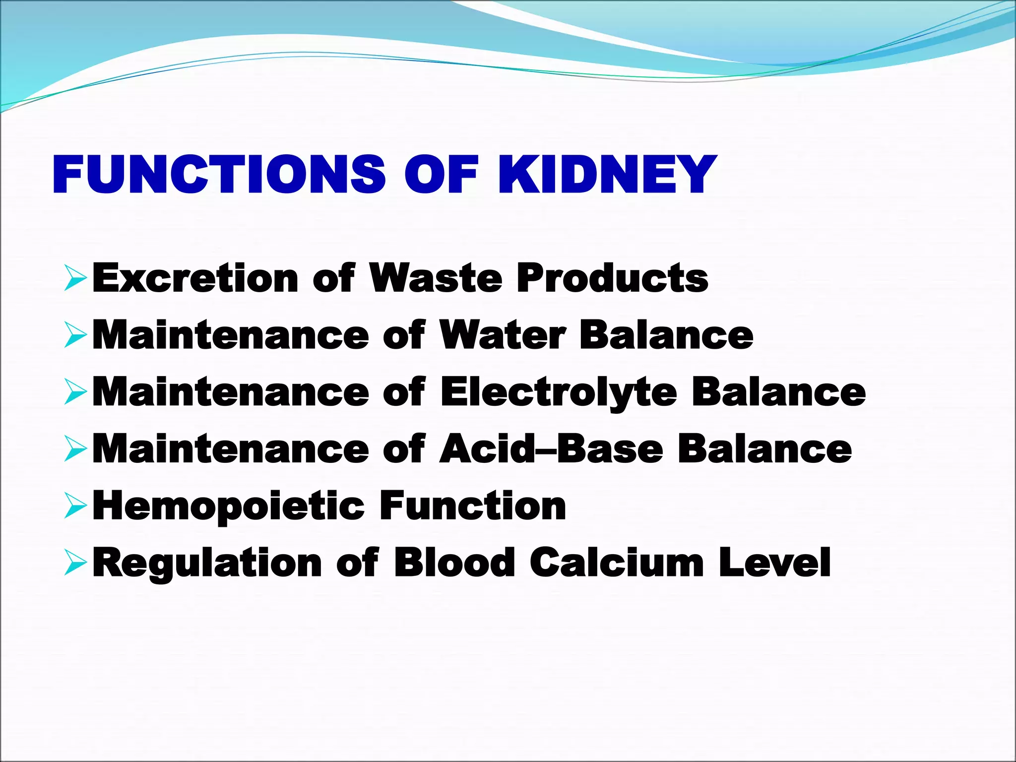 RENAL PHYSIOLOGY.ppt