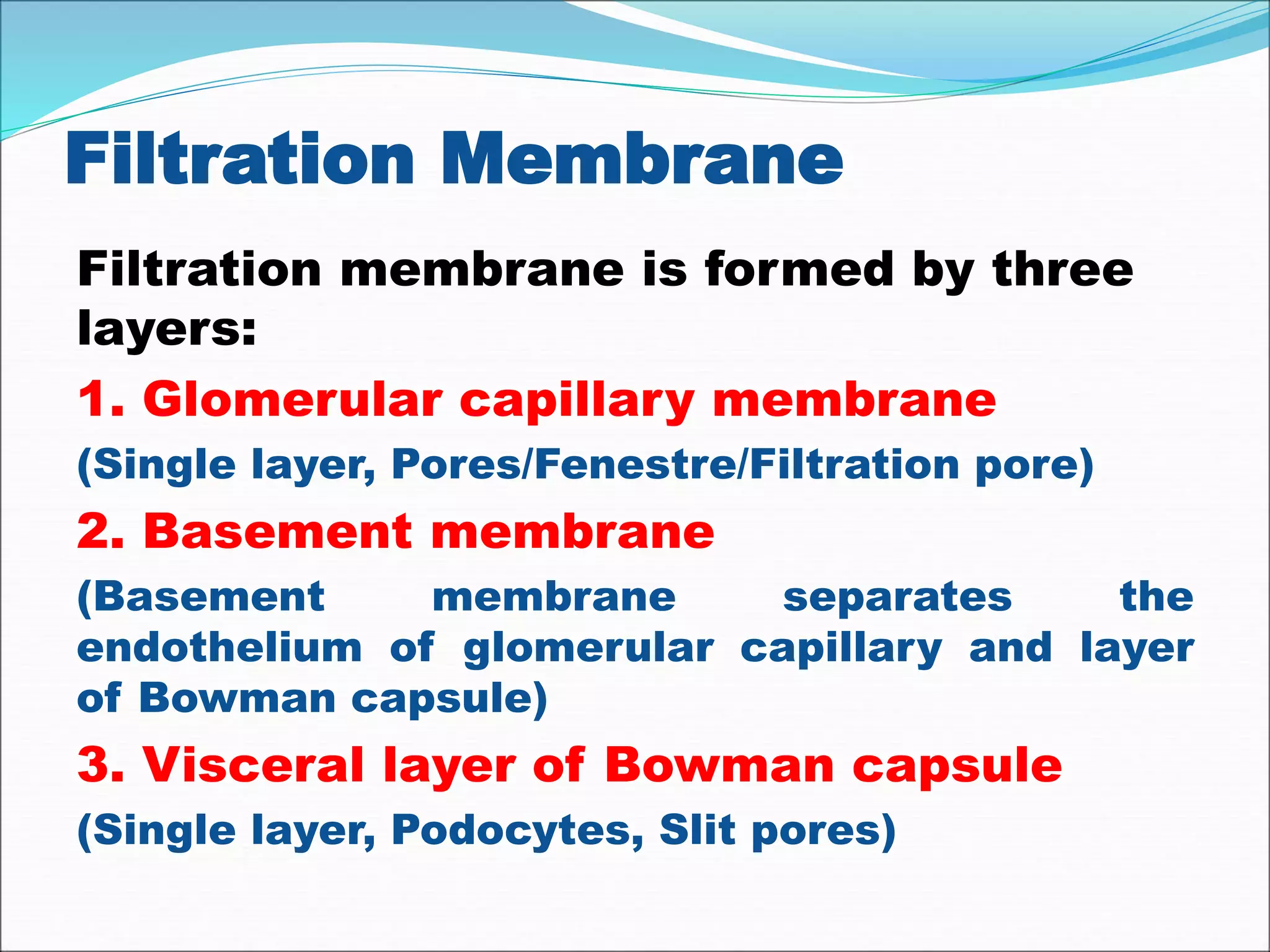 RENAL PHYSIOLOGY.ppt