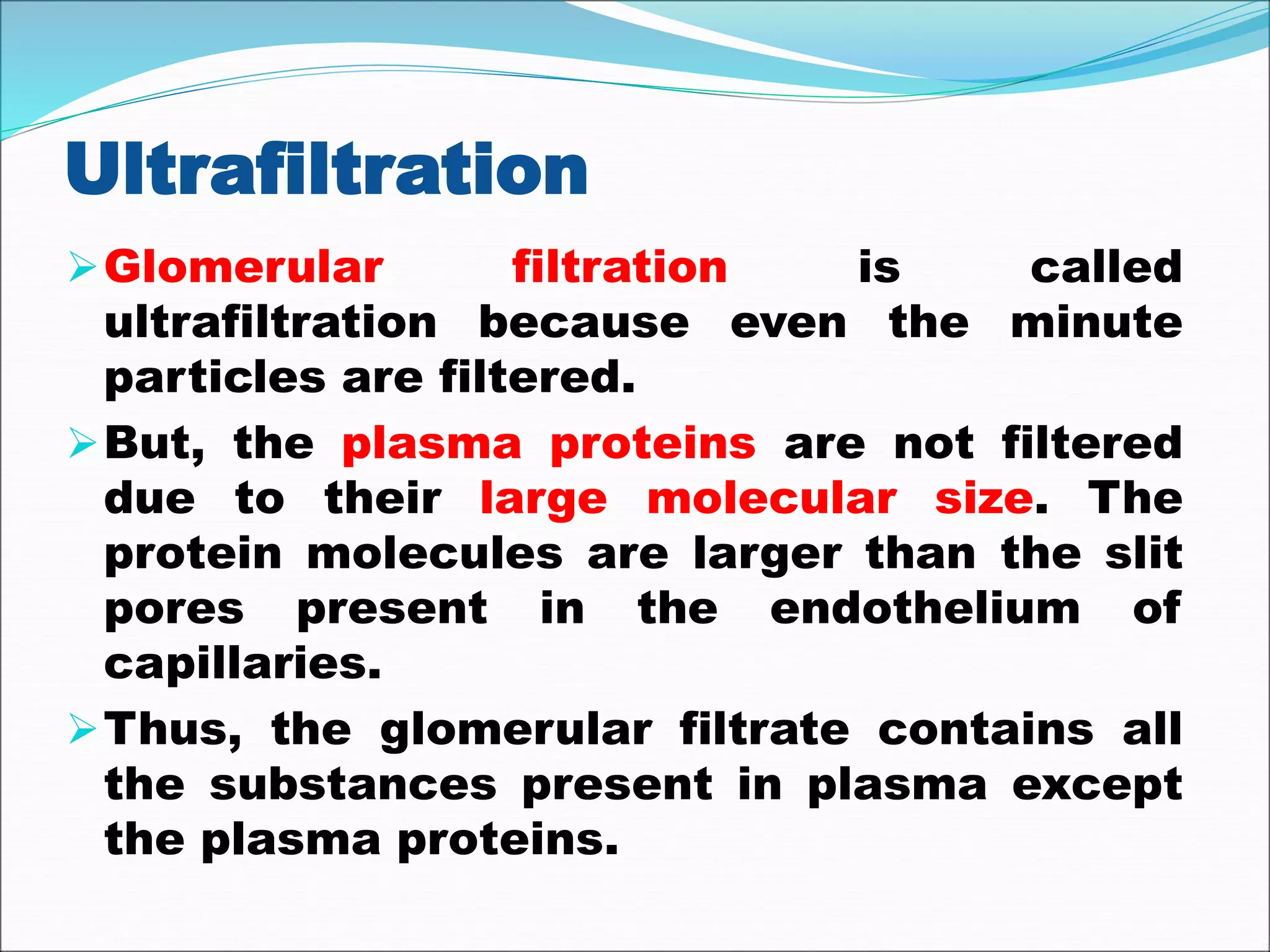 RENAL PHYSIOLOGY.ppt