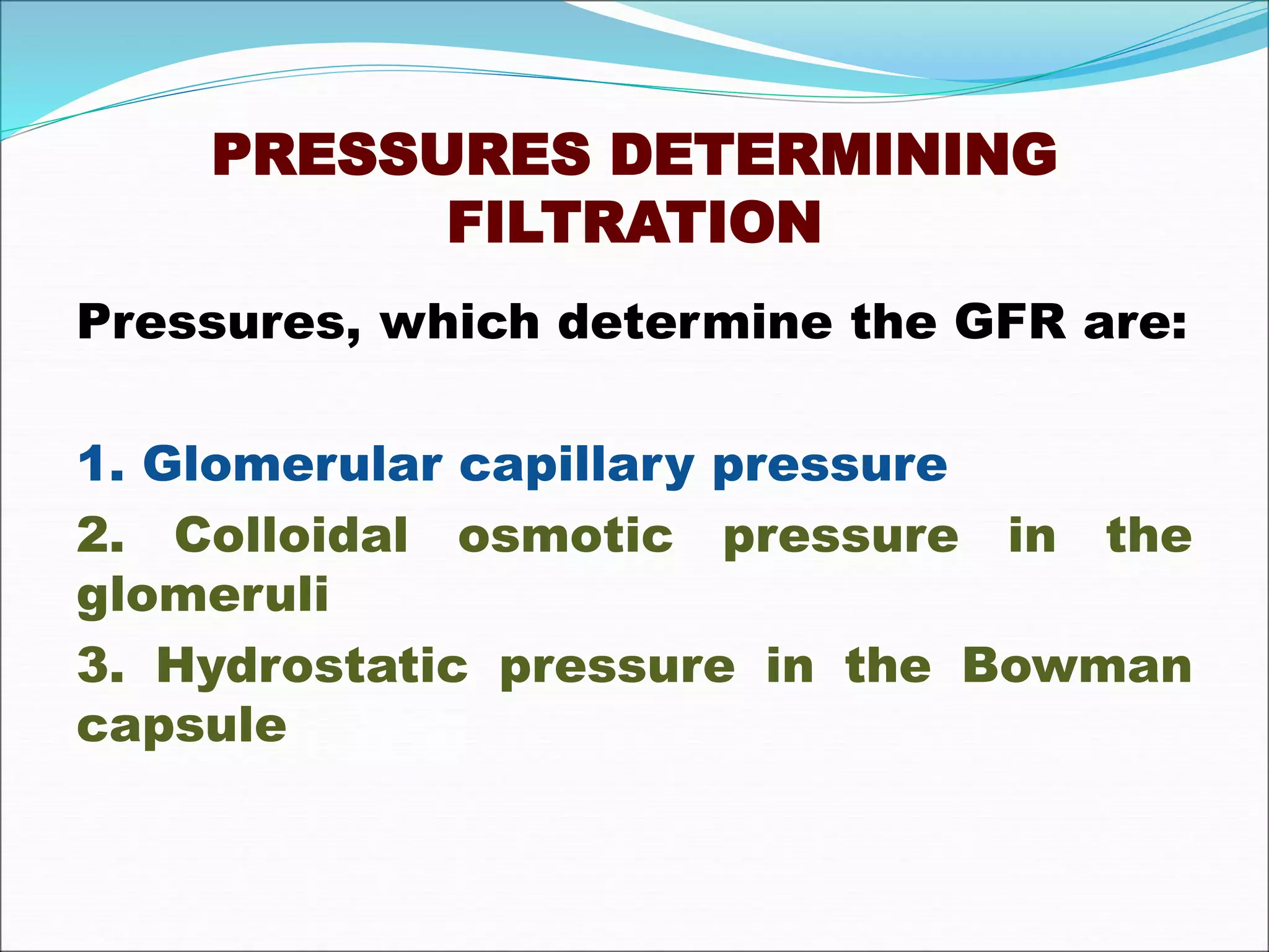 RENAL PHYSIOLOGY.ppt