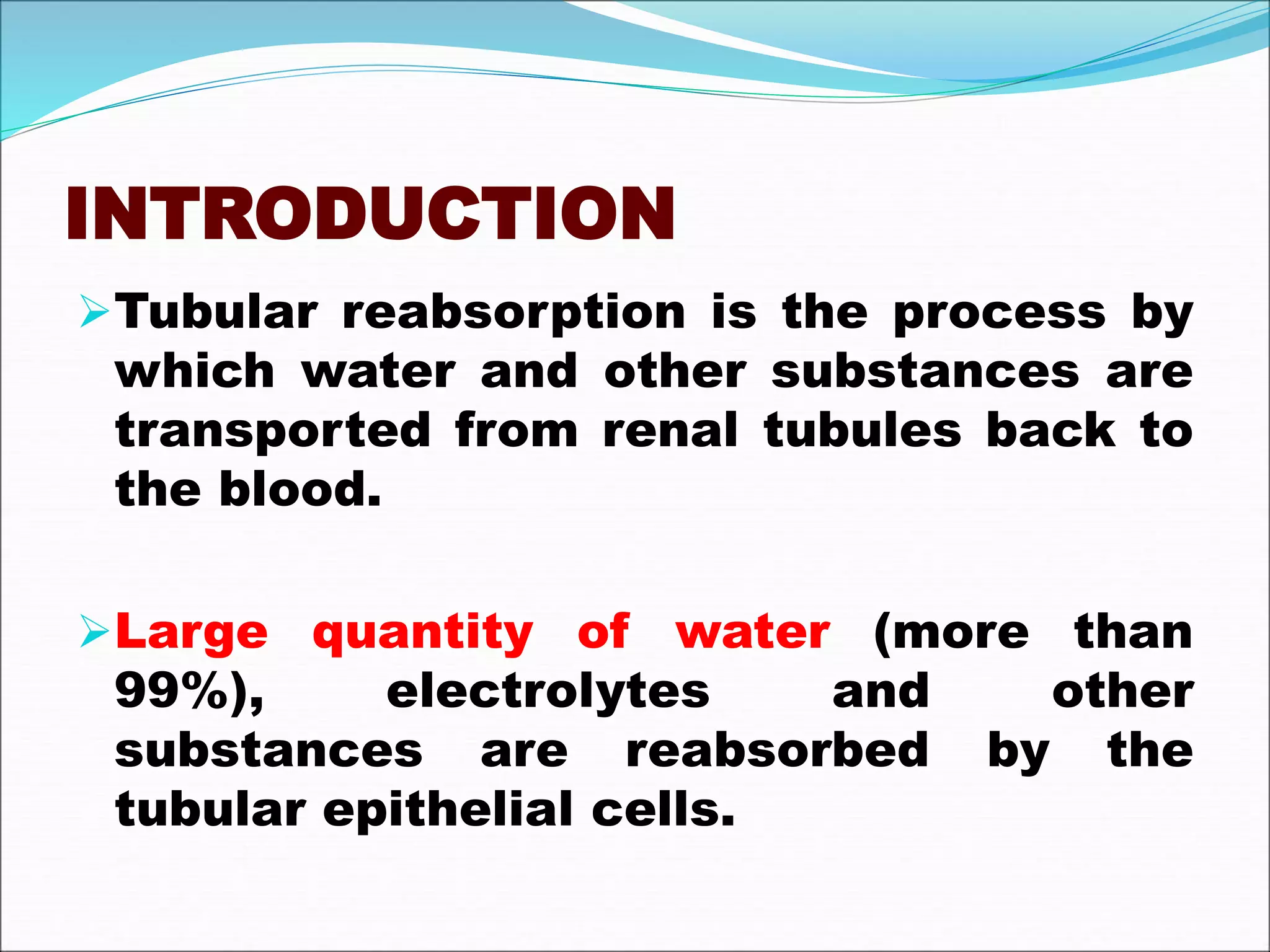 RENAL PHYSIOLOGY.ppt