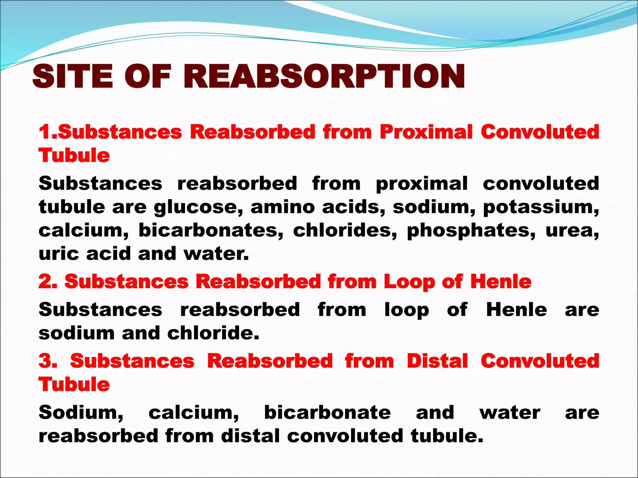RENAL PHYSIOLOGY.ppt