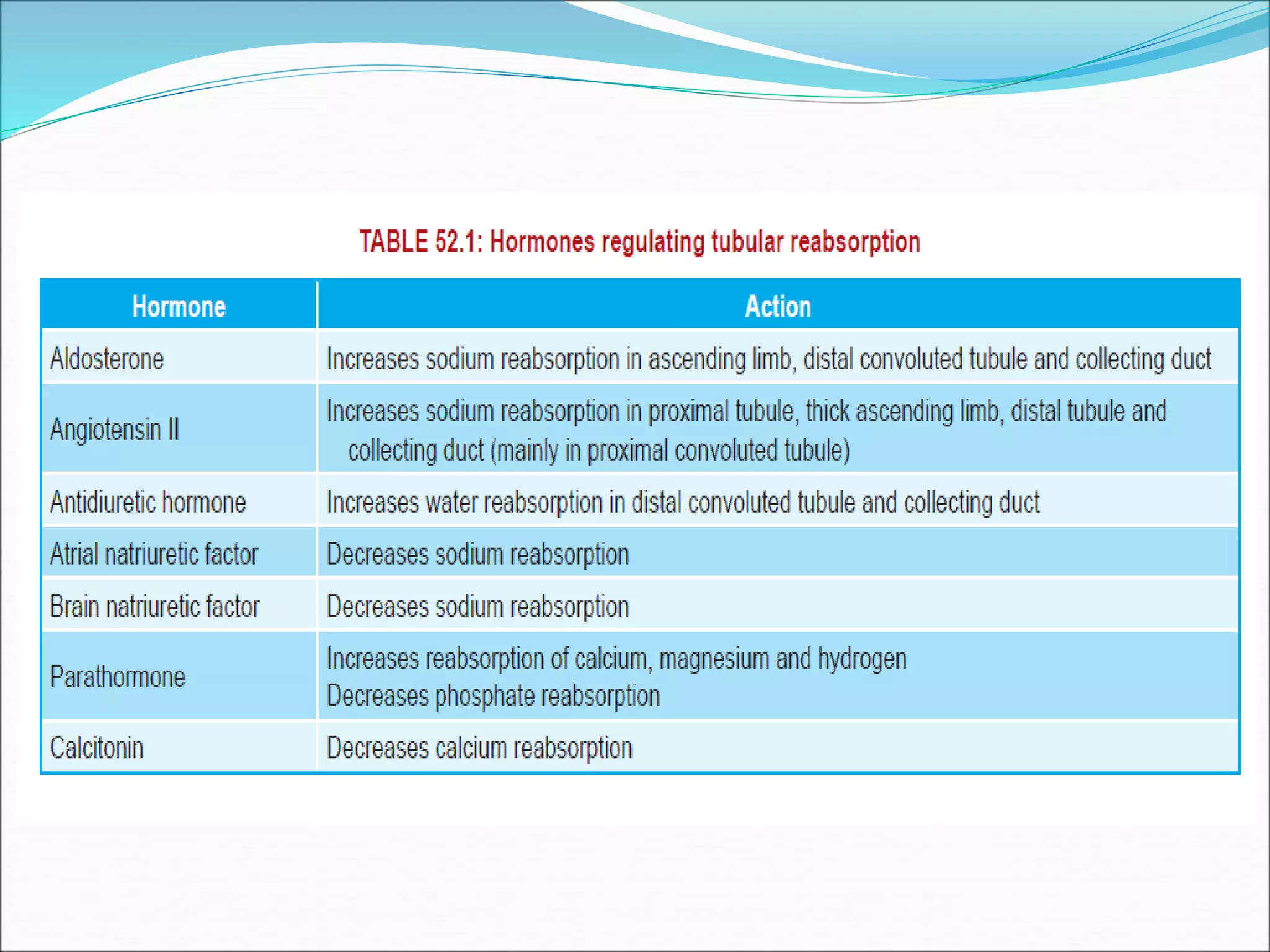 RENAL PHYSIOLOGY.ppt