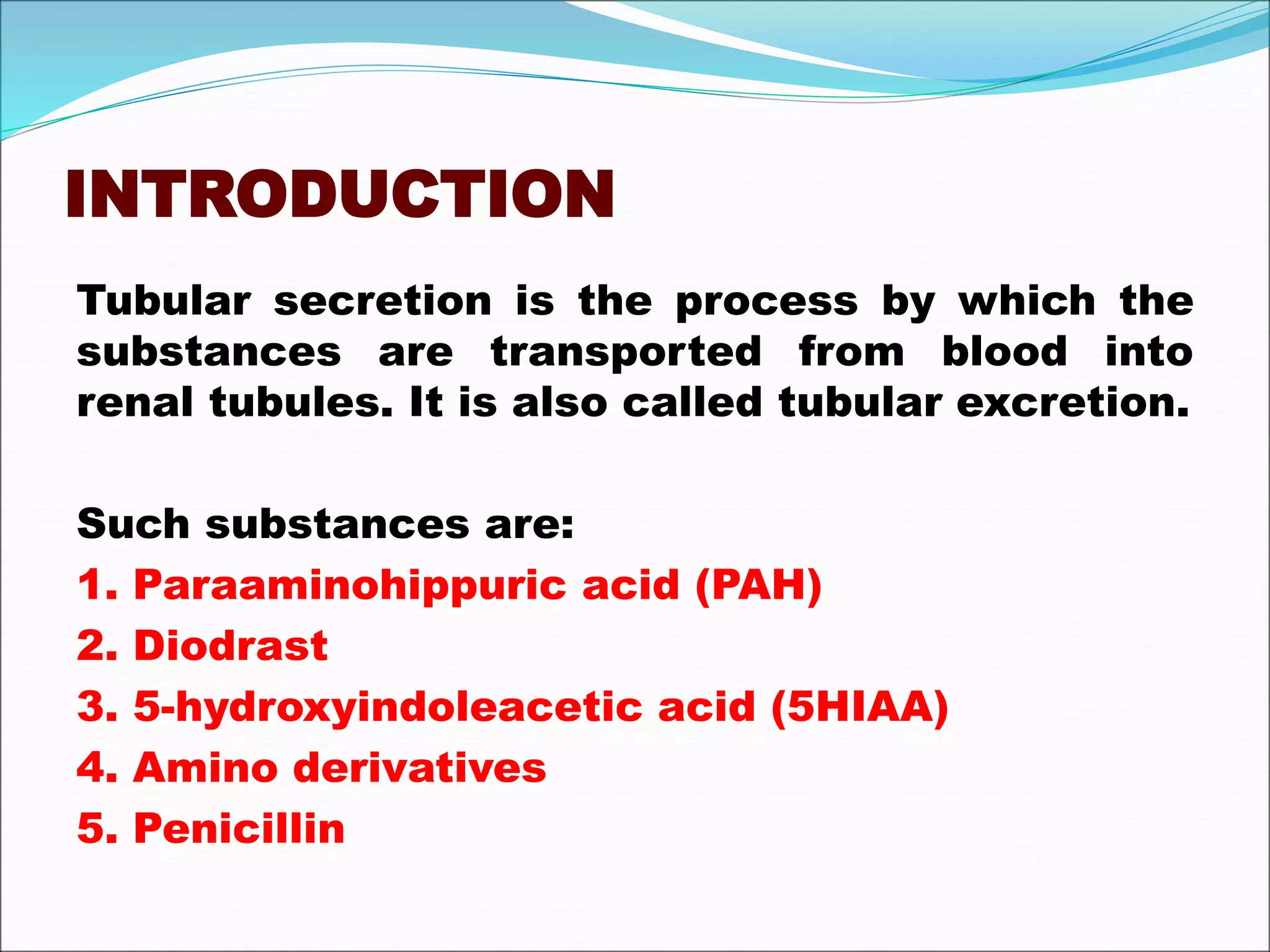 RENAL PHYSIOLOGY.ppt