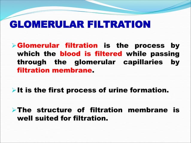 RENAL PHYSIOLOGY.ppt