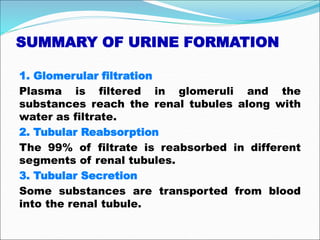 RENAL PHYSIOLOGY.ppt