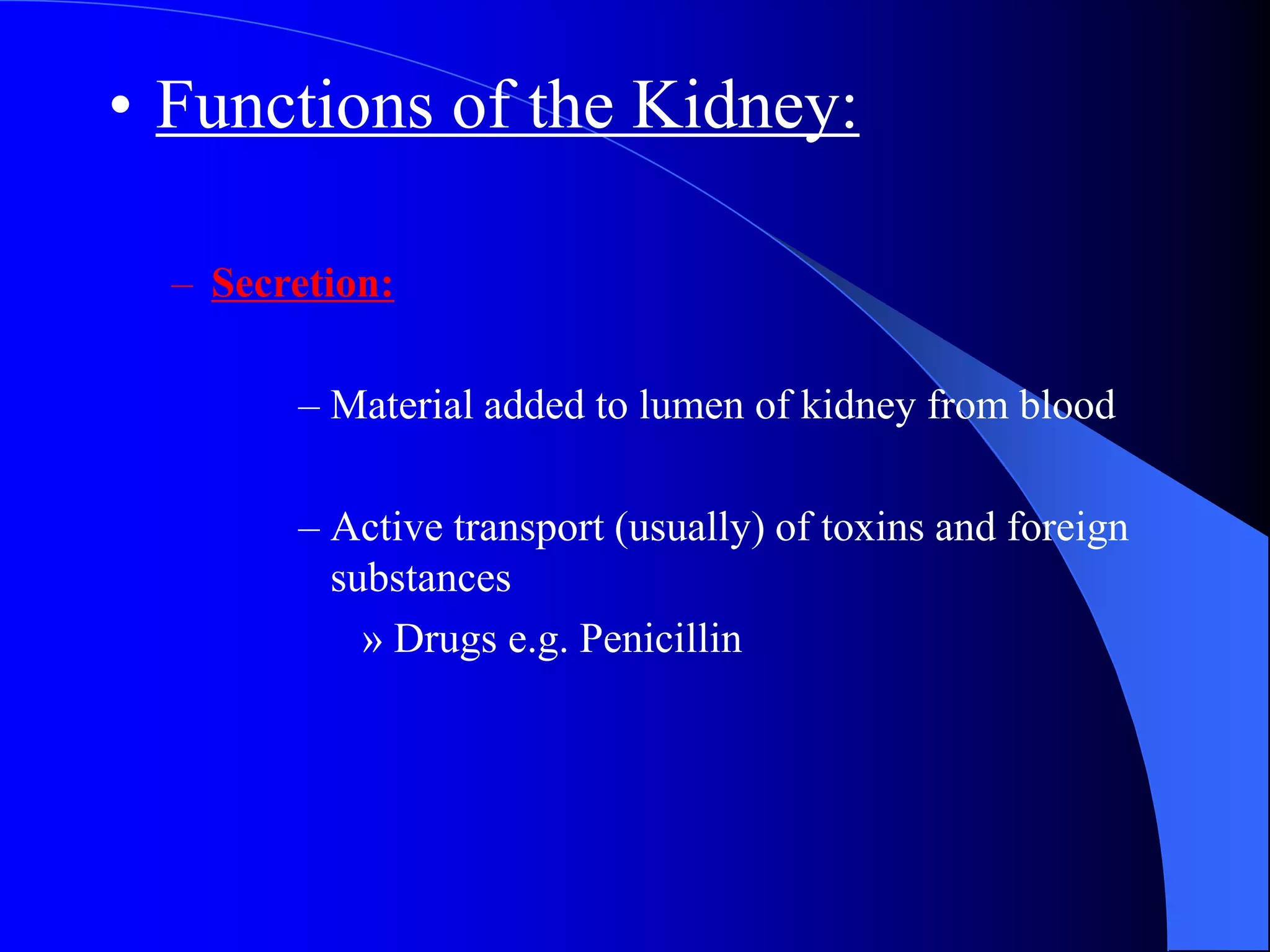 Renal Physiology.ppt