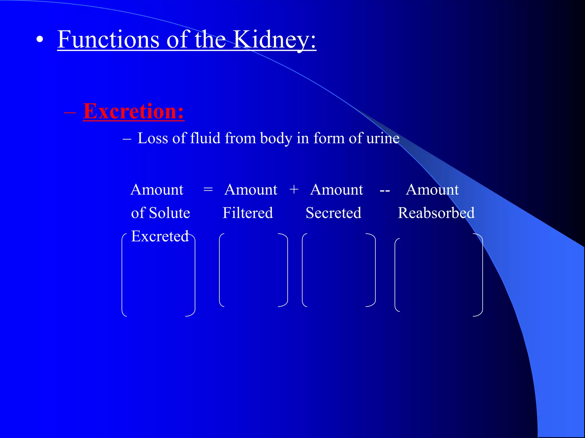 Renal Physiology.ppt