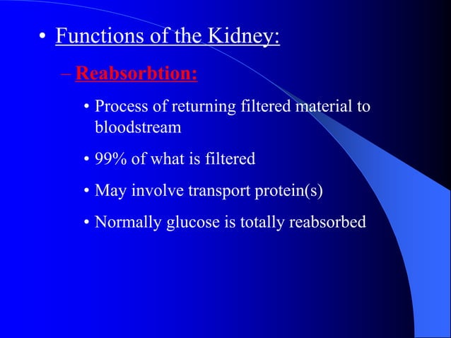 Renal Physiology.ppt